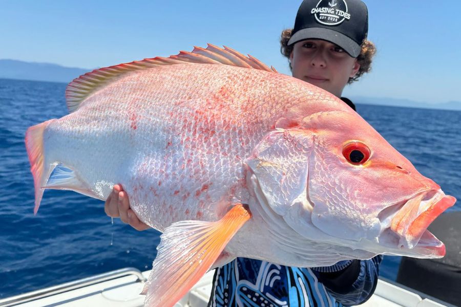 Cairns Fishing Report – Cairns Tackle World