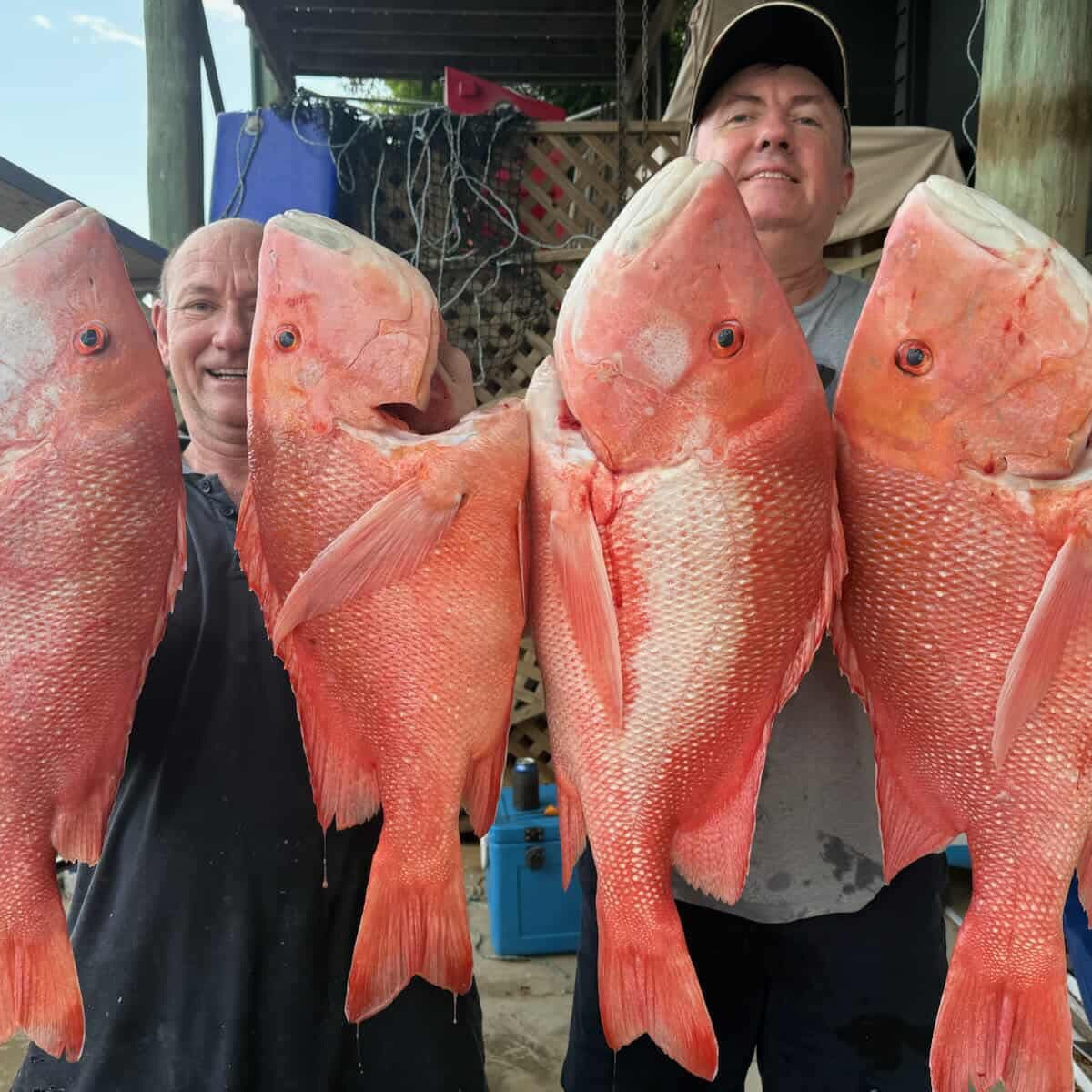 Cairns Fishing Report | November 7th – Cairns Tackle World